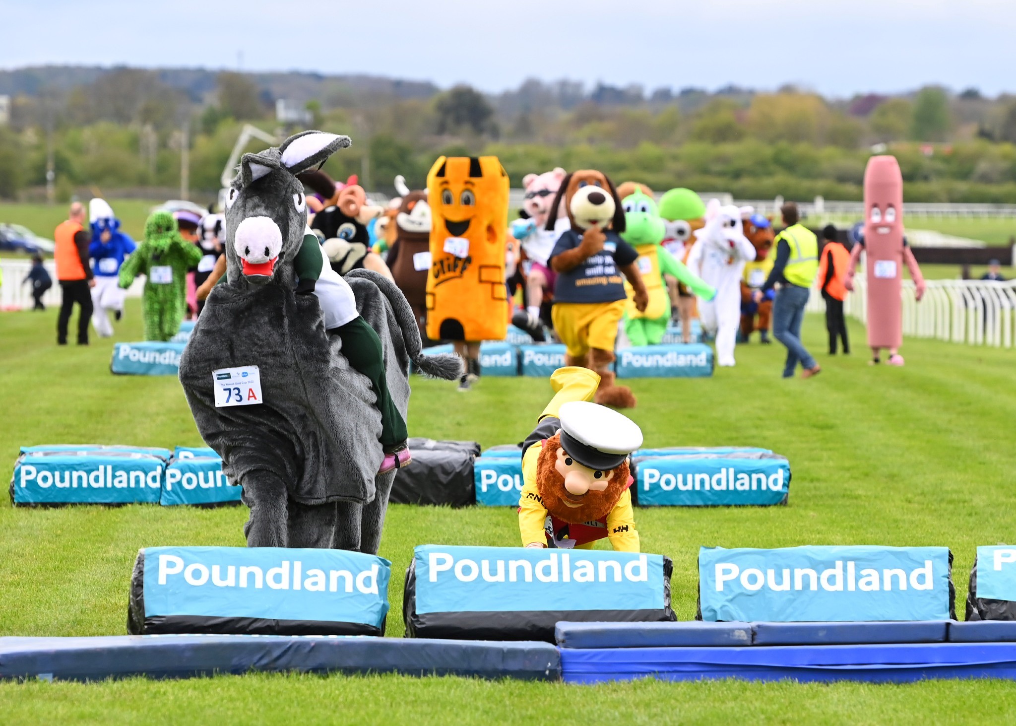 The Pure Lettings Pony goes one better in the Manorlands Mascot Gold ...